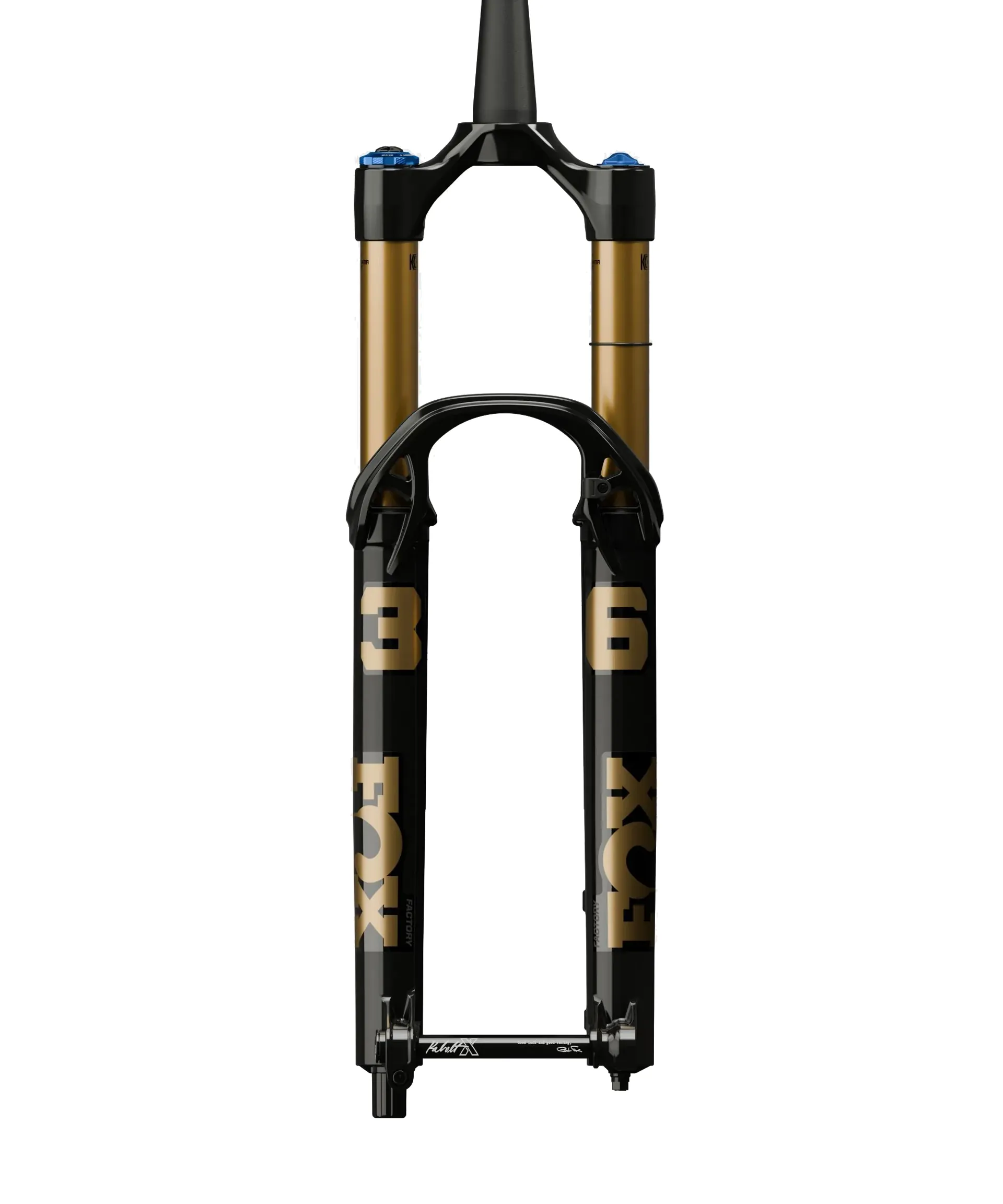service fork mtb