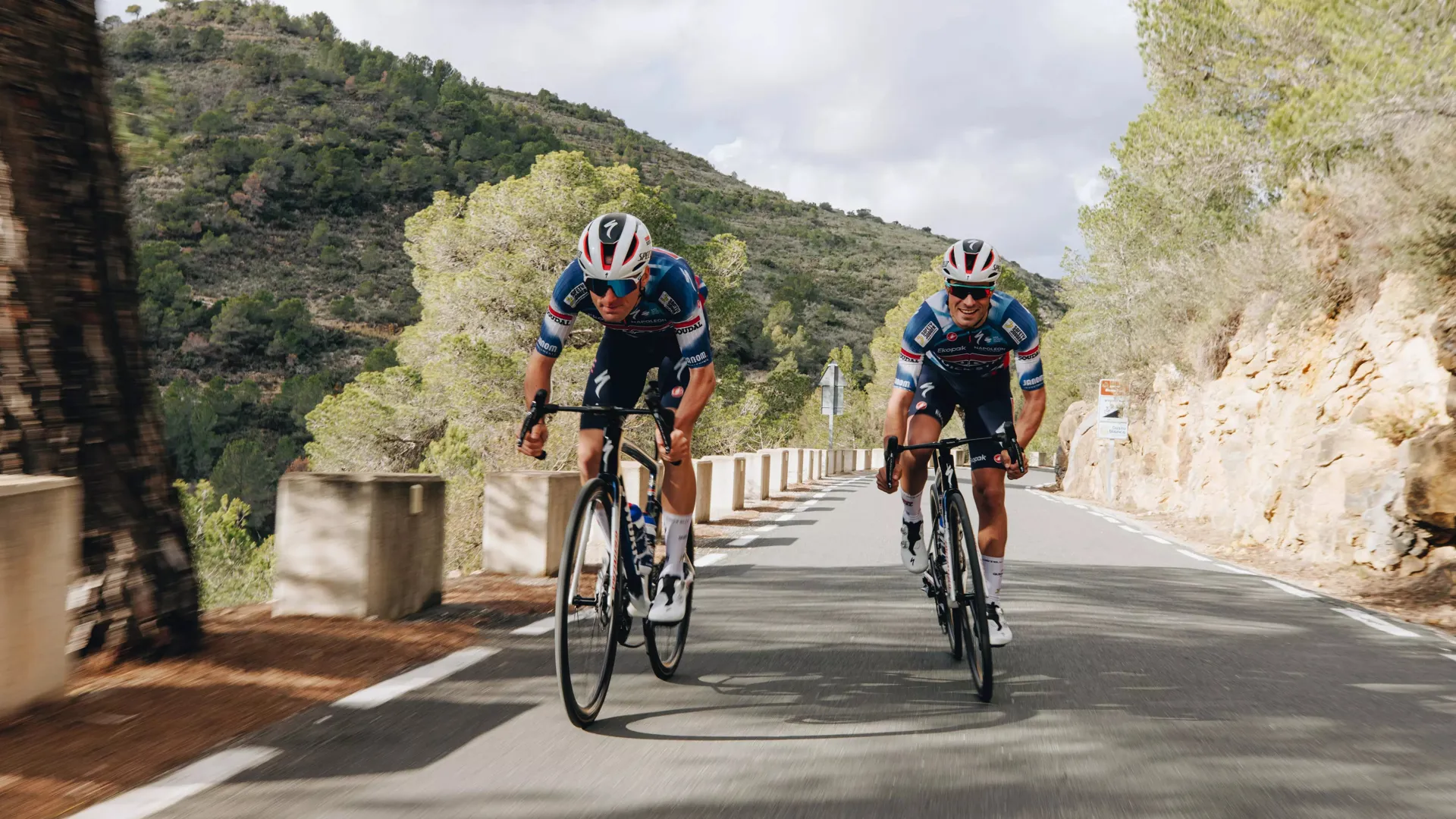 2025 S-Works Tarmac SL8 Road Bike Frameset - Soudal Quick-Step