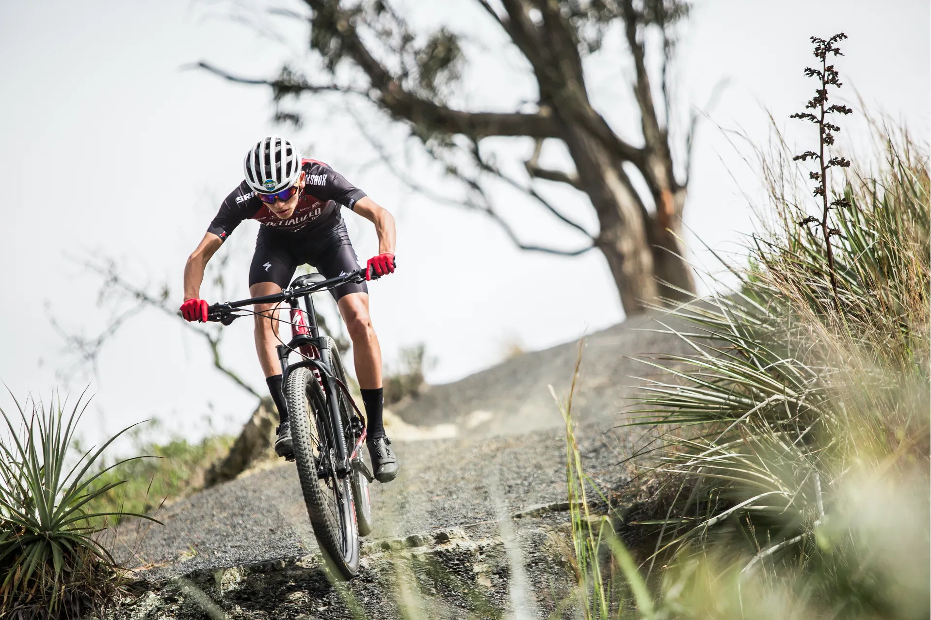 2025 Specialized Chisel Hardtail Comp XC Mountain Bike - Marine